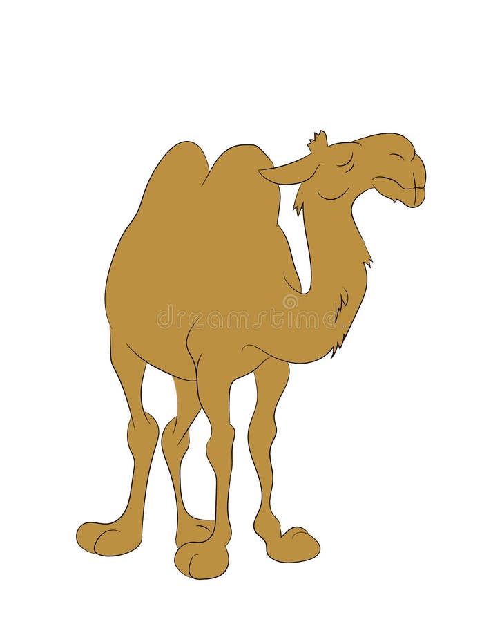 Camel Standing Cartoon Color Illustration Stock Vector - Illustration ...