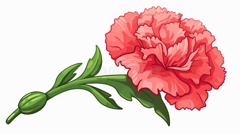 Vector Illustration of Carnation Flower Cartoon Stock Vector ...