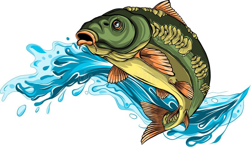 Vector Illustration of Carp with Splashing Water Stock Photo - Image of ...