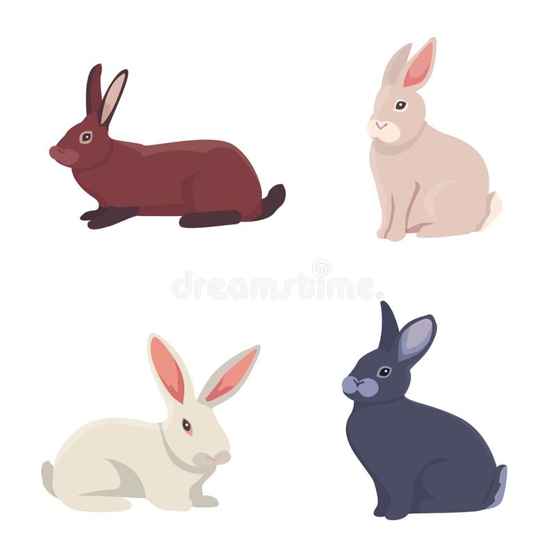 Vector Illustration of Cartoon Rabbits Different Breeds. Fine Bunnys ...