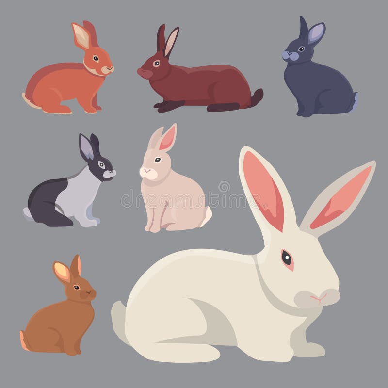 Vector Illustration of Cartoon Rabbits Different Breeds. Fine Bunnys ...