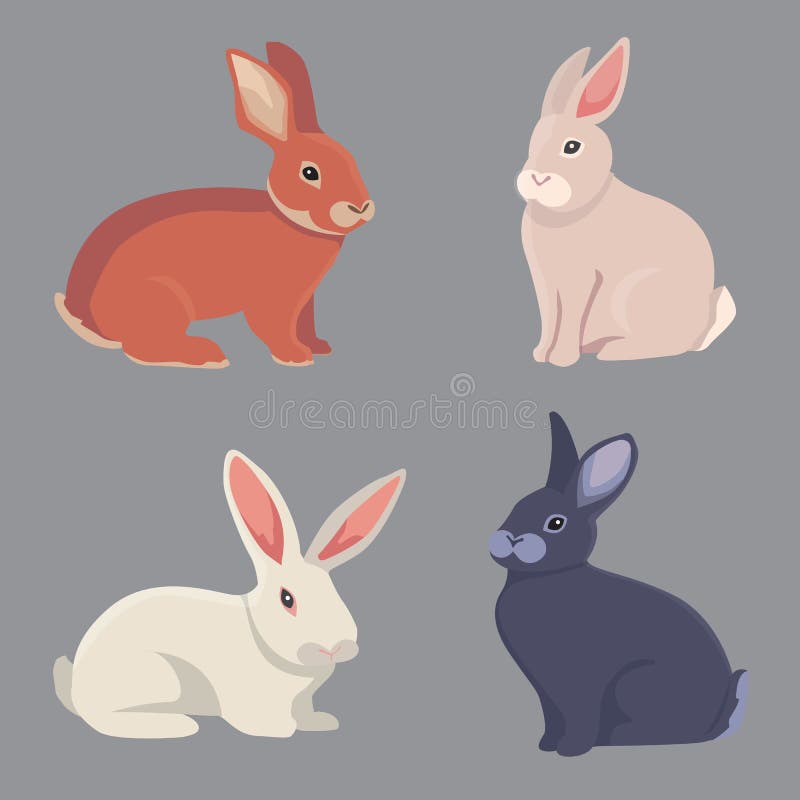Vector Illustration of Cartoon Rabbits Different Breeds. Fine Bunnys ...