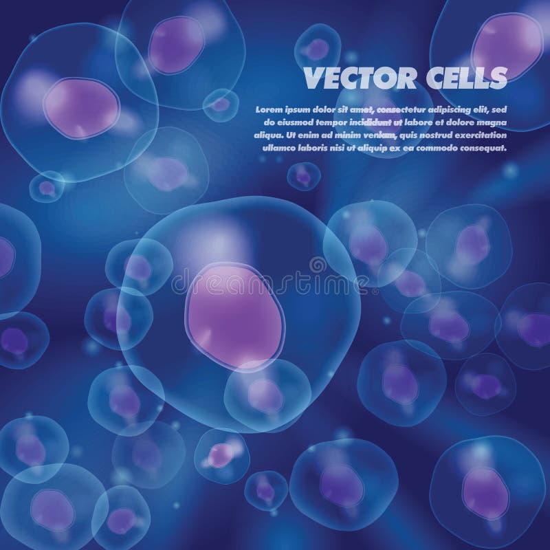 Vector Illustration of Cells. - Illustration Stock Vector ...