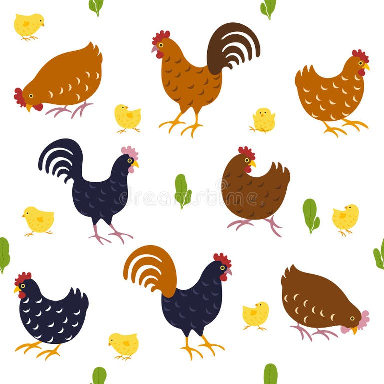 Vector Illustration of a Chicken, Poultry, Chick Pattern, Cute Cartoon ...