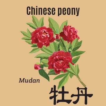 Mudan Hieroglyphics Stock Illustrations – 2 Mudan Hieroglyphics Stock ...