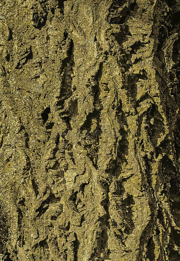 Vector Illustration of a Close-up of Cork Tree Bark. Cork Tree or ...