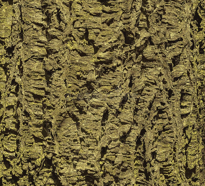 Vector Illustration of a Close-up of Cork Tree Bark. Cork Tree or ...
