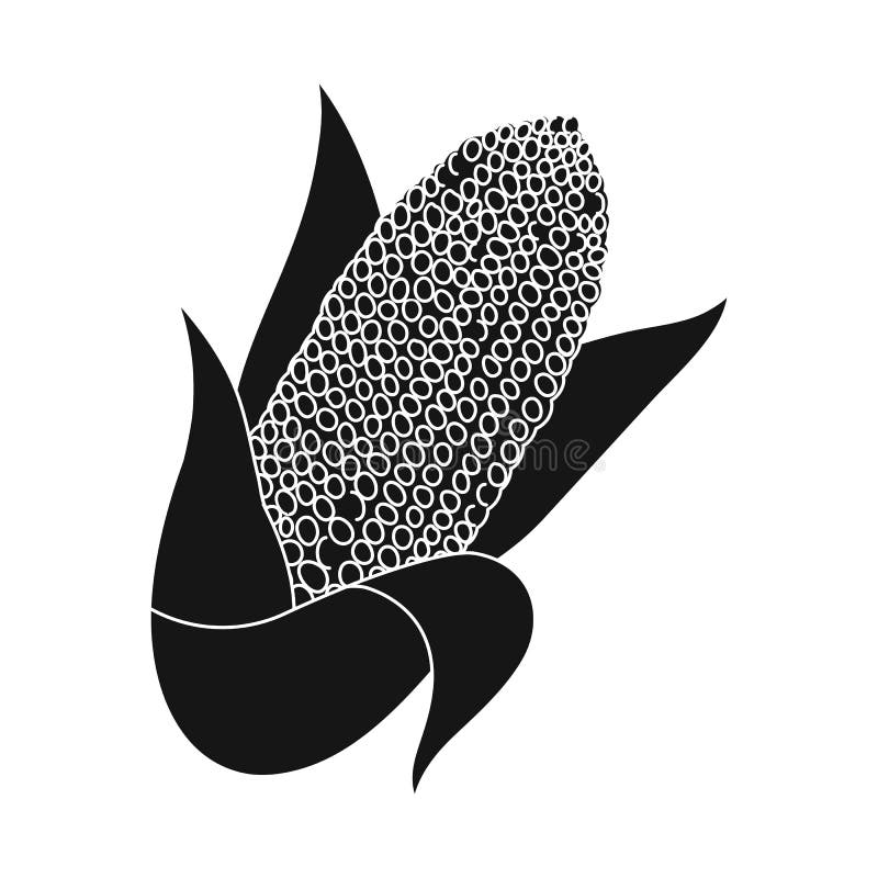 Vector Illustration of Cob and Maize Icon. Set of Cob and Popcorn Stock ...