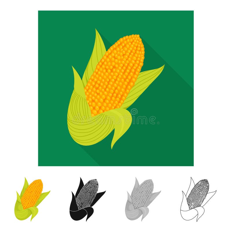 Vector Illustration of Cob and Maize Symbol. Collection of Cob and ...