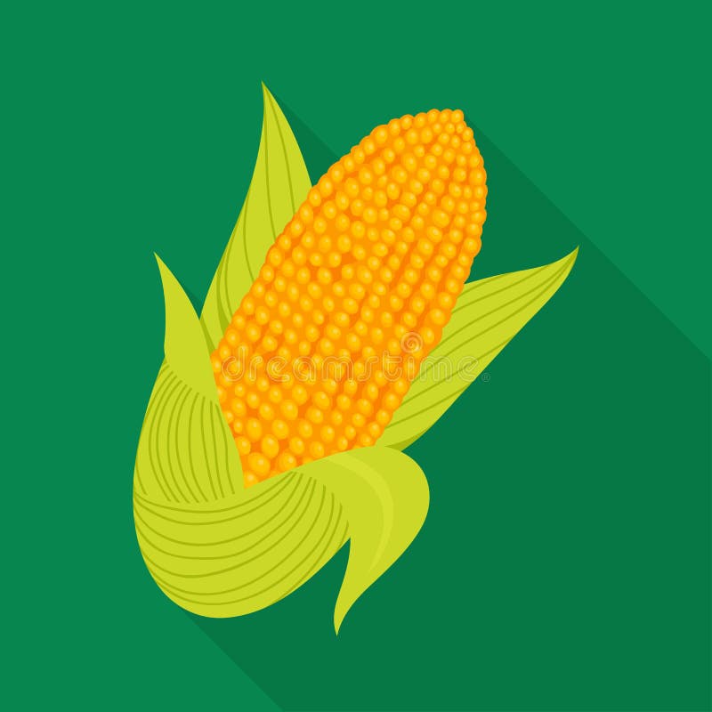 Vector Design of Cob and Maize Icon. Collection of Cob and Popcorn ...