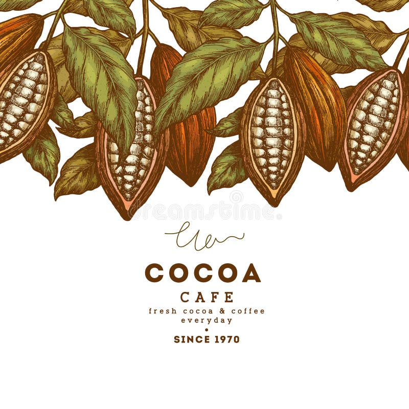 Cocoa Bean Tree Frame Design Template. Engraved Style Illustration ...
