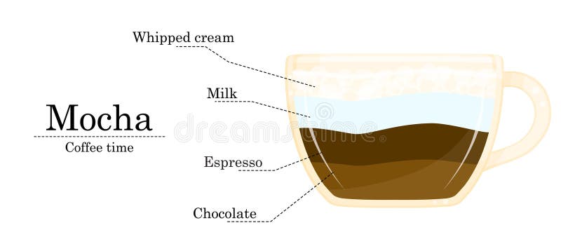Vector Illustration of Coffee Recipe, Mocha Recipe Stock Vector ...