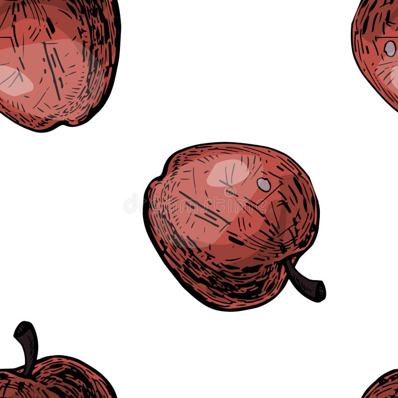 Vector Illustration Colorful Apples Seamless Pattern On White