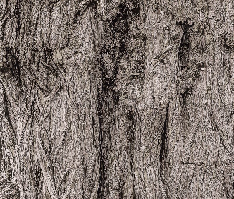 Vector Illustration of a Colorful Background with Robinia Bark and ...