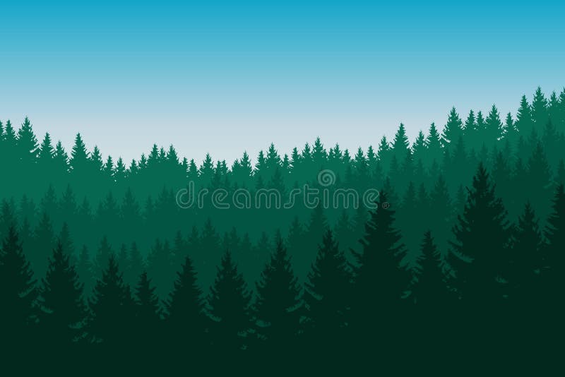 Green Coniferous Forest with Grass - Realistic Vector Stock Vector ...