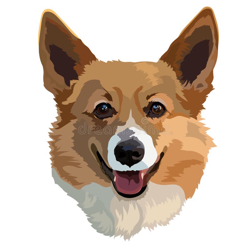 Vector Illustration of a Corgi Dog Face Stock Vector - Illustration of ...