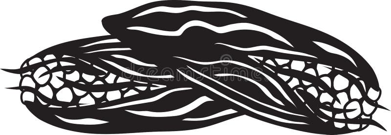 Corn in husk icon stock vector. Illustration of sweet - 130553606