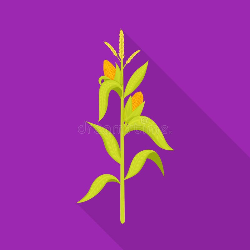 Corn Stalk Logo Stock Illustrations – 1,426 Corn Stalk Logo Stock ...