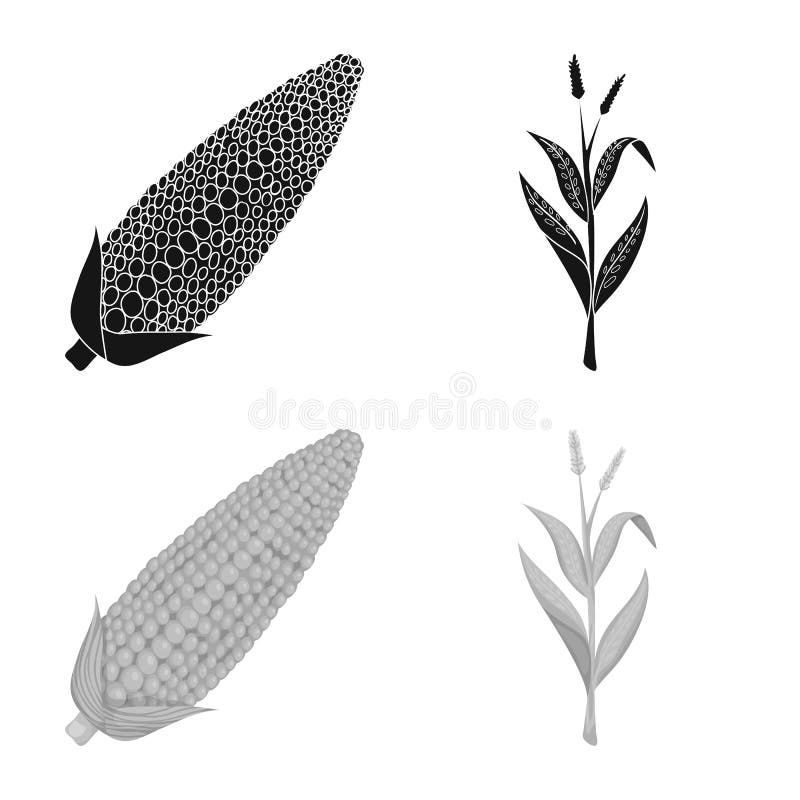 Vector Design of Cornfield and Vegetable Logo. Set of Cornfield and ...