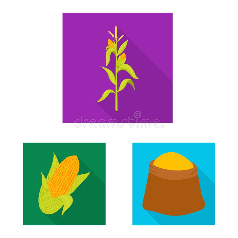 Vector Illustration of Cornfield and Vegetable Icon. Set of Cornfield ...