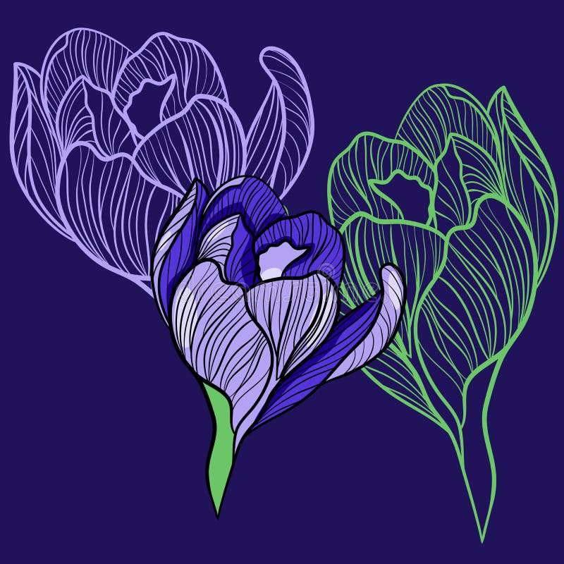 Digital Crocus Stock Illustrations – 183 Digital Crocus Stock ...