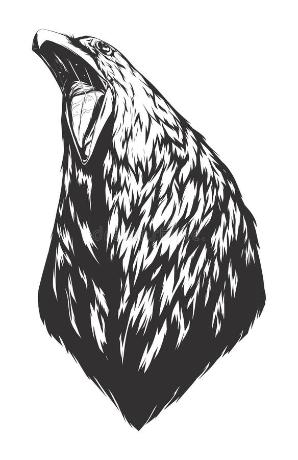 Crow Head Drawing Line Work Vector Stock Vector - Illustration of ...