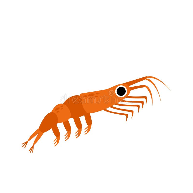 Vector Illustration of Cute Antarctic Krill Isolated on White ...