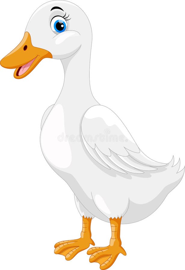 Cute Duck Cartoon Isolated On White Background Stock Illustration ... Cute Duck Cartoon Isolated On White Background Stock Illustration ...