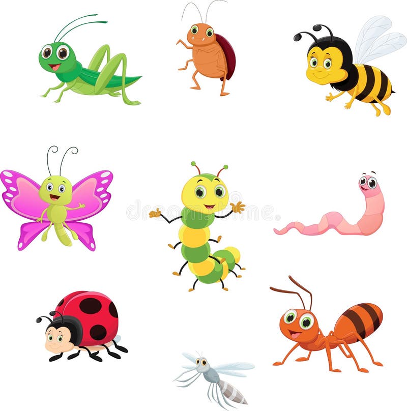 Cute Insect Vector Illustration Stock Vector - Illustration of clip ...