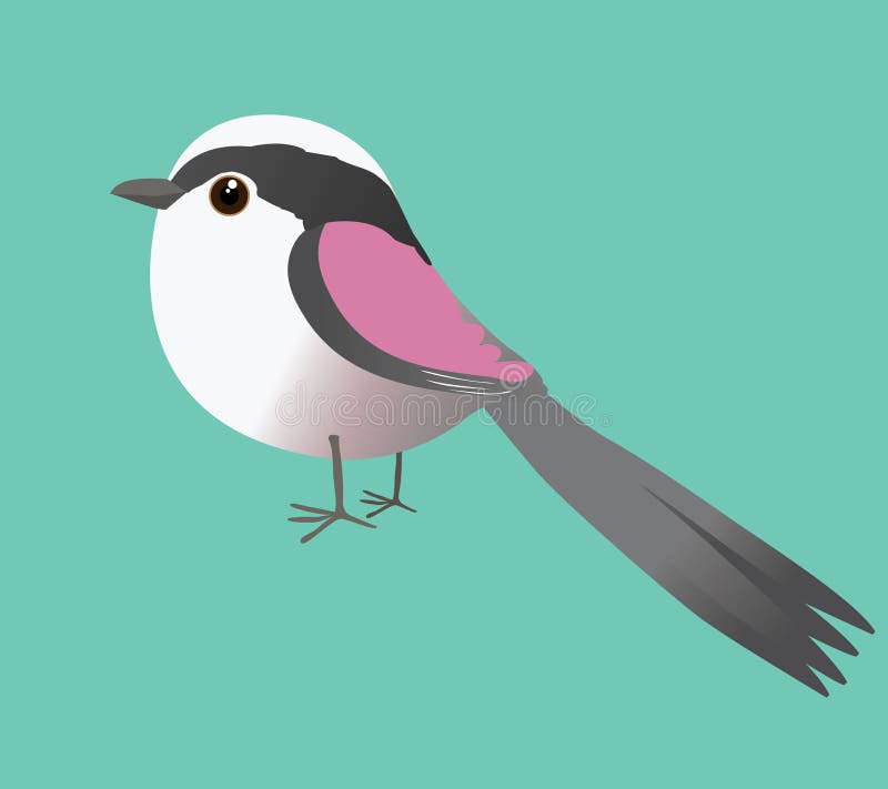 Long Tailed Tit Illustration Stock Illustration Illustration Of