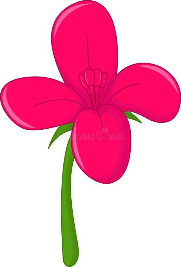 Cute orchid flower stock vector. Illustration of hand - 14427789