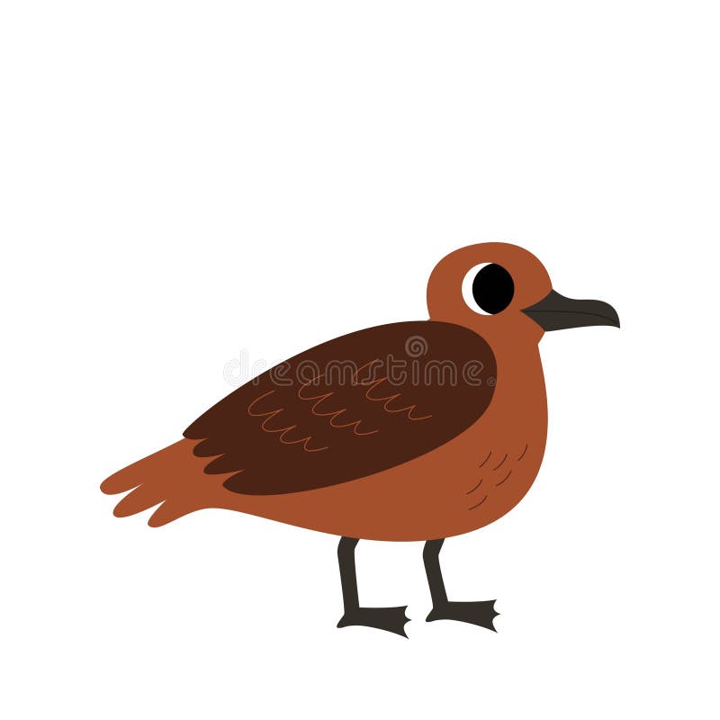 Skua Stock Illustrations – 150 Skua Stock Illustrations, Vectors ...