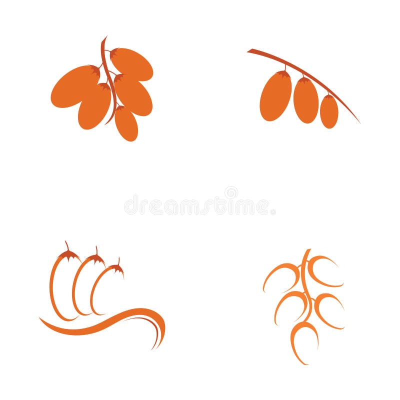 Vector Illustration of Dates Fruits Logo Design Stock Vector ...