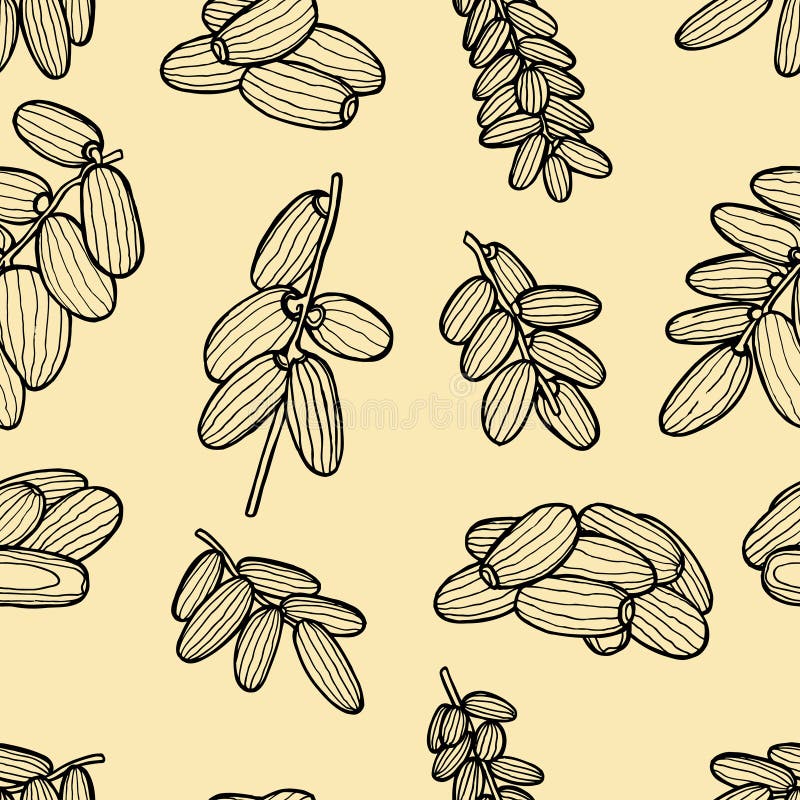 Vector Illustration of Dates Stock Vector - Illustration of nature ...