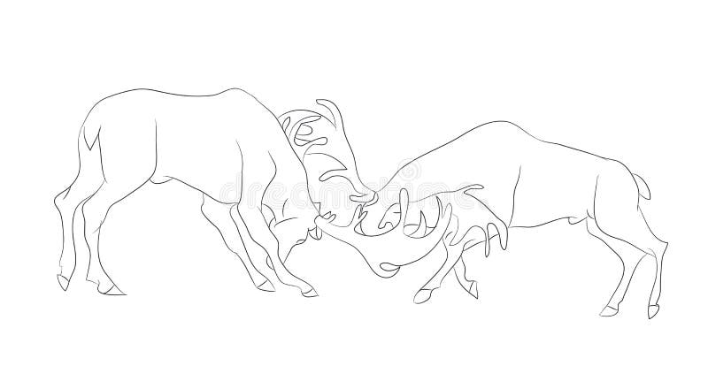 Fighting Deer Stock Illustrations – 164 Fighting Deer Stock ...