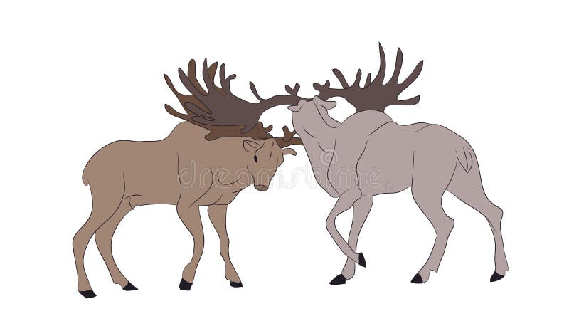 Elk Fighting Vector Stock Illustrations – 24 Elk Fighting Vector Stock ...