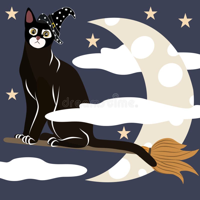 Wizard Cat Flying with Broomstick Stock Vector - Illustration of font ...