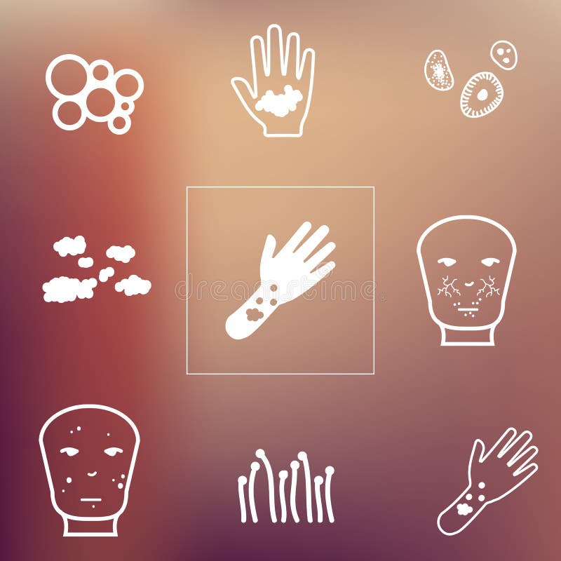 Dermatological System Stock Illustrations – 23 Dermatological System ...