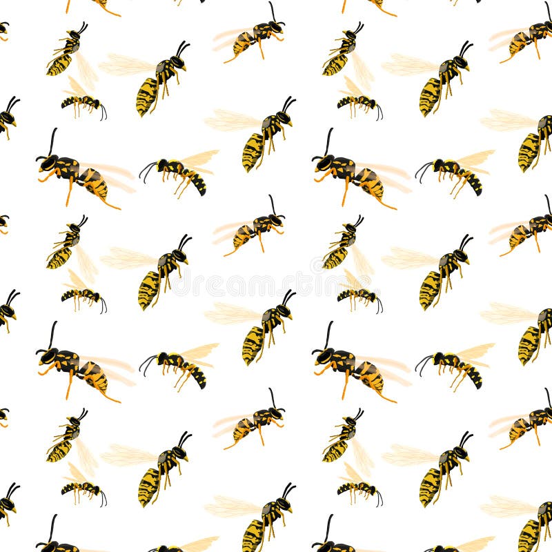 Different Types of Bees in Different Positions As a Seamless Pattern on ...