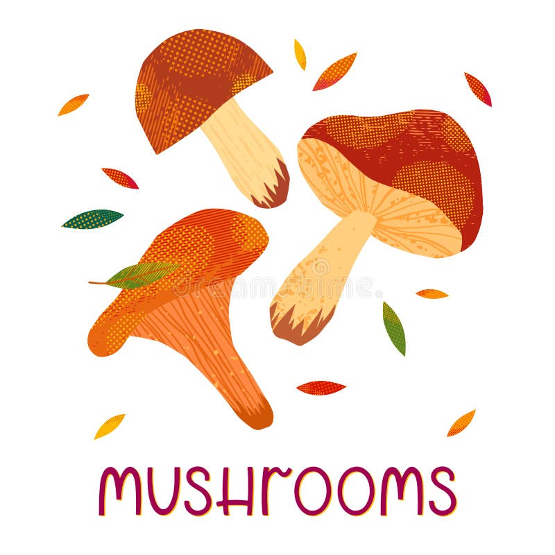 Different Types Mushrooms Stock Illustrations – 651 Different Types ... Different Types Mushrooms Stock Illustrations – 651 Different Types ...