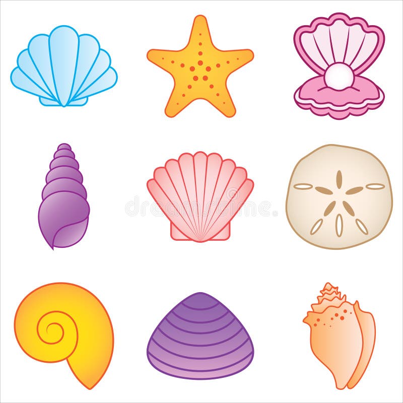 Vector shells set stock illustration. Illustration of design - 300489428