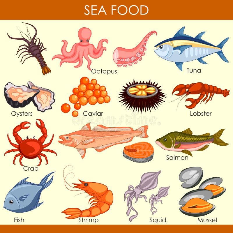 Vector Illustration of Different Variety of Sea Food Stock Vector ...