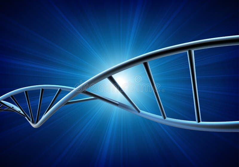 Vector Illustration of a DNA Model Stock Vector - Illustration of gene ...