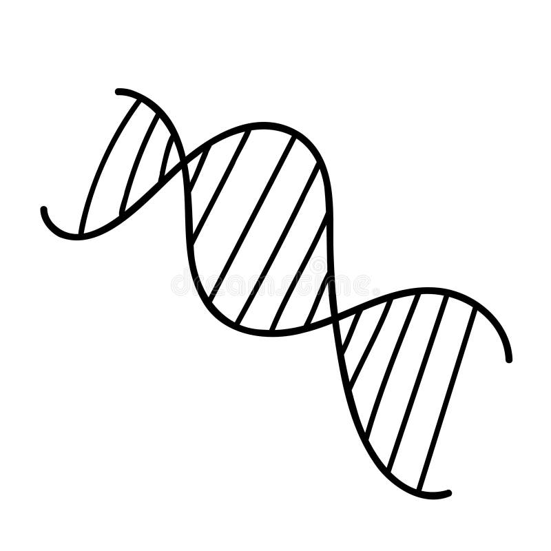 Vector Drawing of DNA Structure in Black Color, Hand Drawn Stock Vector ...