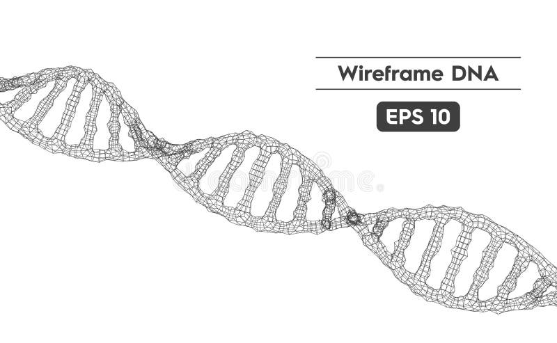 Vector Illustration of the DNA Structure Stock Vector - Illustration of ...