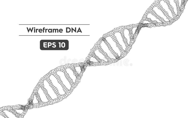 Vector Illustration of the DNA Structure Stock Vector - Illustration of ...