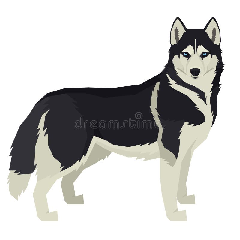 Vector Illustration Dog Collection Siberian Husky Geometric Style ...