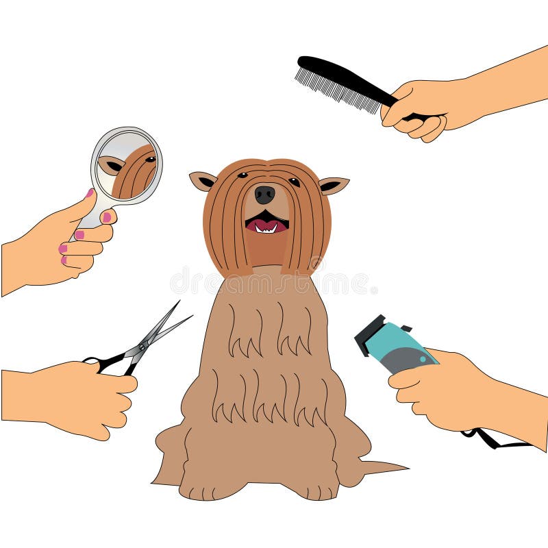 Dog Haircut Isolated on White Background Stock Vector - Illustration of ...