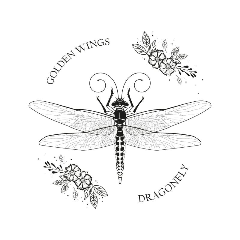 Vector Illustration of a Dragonfly and Flowers.Graphic Drawing of an ...