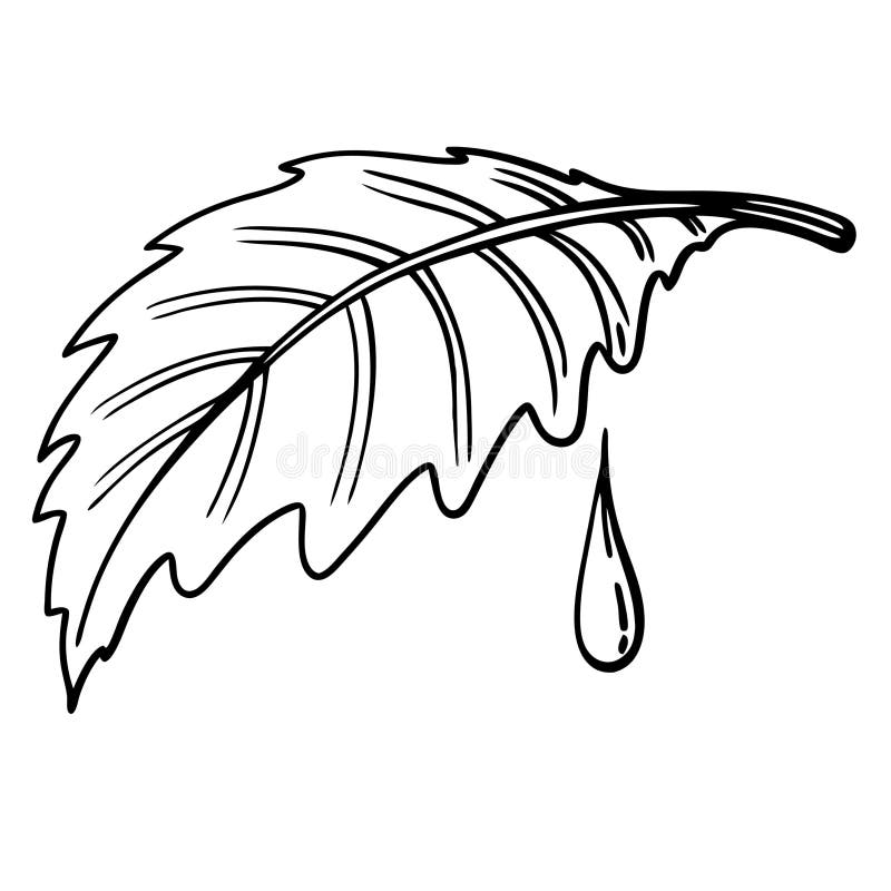 Vector Illustration of Dripping Leaf Symbolizing Nature Conservation ...